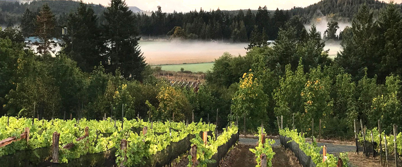 3 Wineries in Cowichan Valley | Andrew Harper