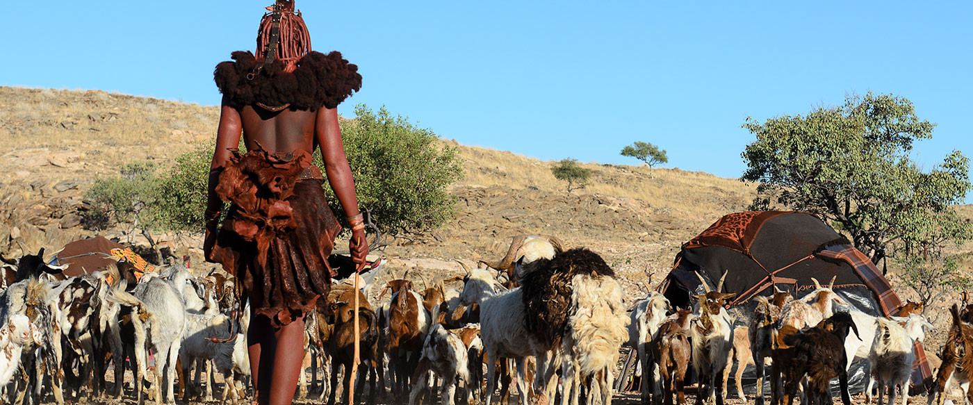 Bookshelf: Three Contrasting Stories of Namibia | Andrew Harper