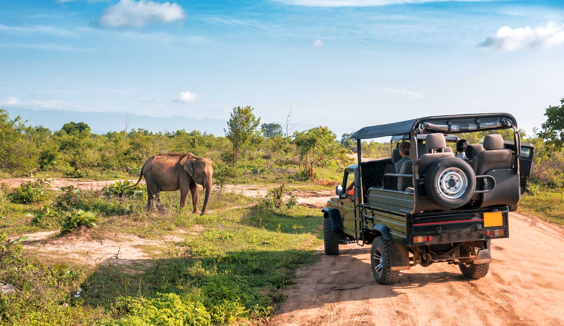 About Andrew Harper | Andrew Harper