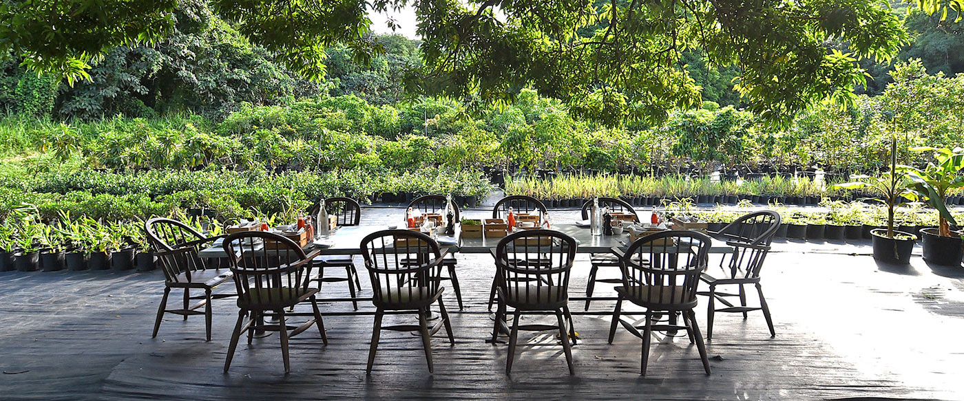 Farm-to-Table Hotels: Where the Eats Are as Good as the Stay | Andrew ...