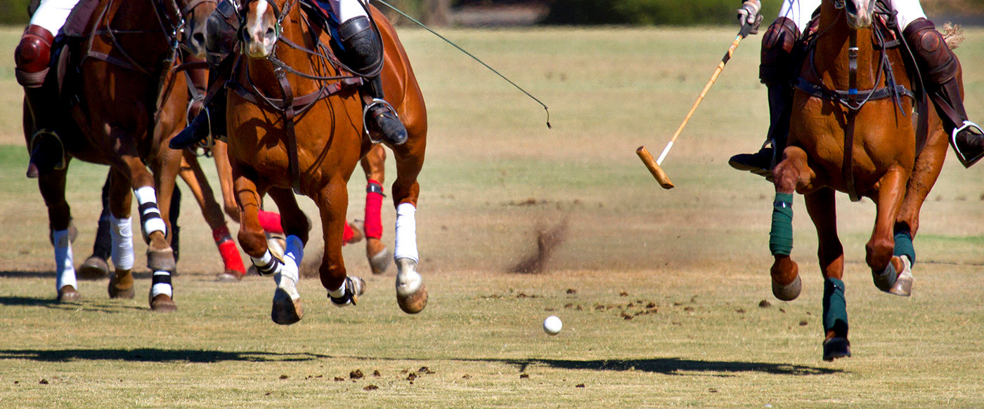 Polo: Sport of the Maharajas | Andrew Harper
