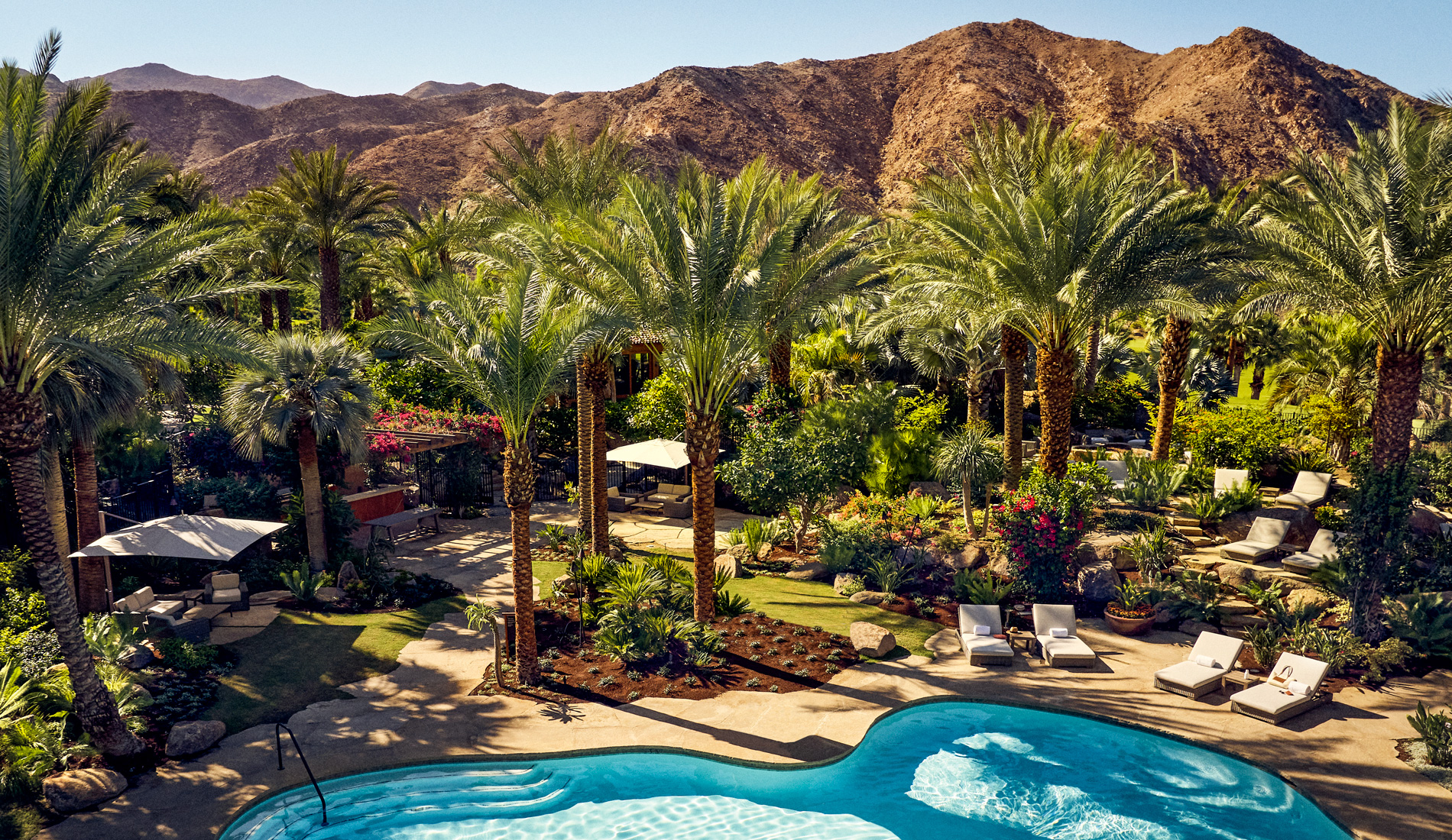 Harper Collection | Andrew Harper