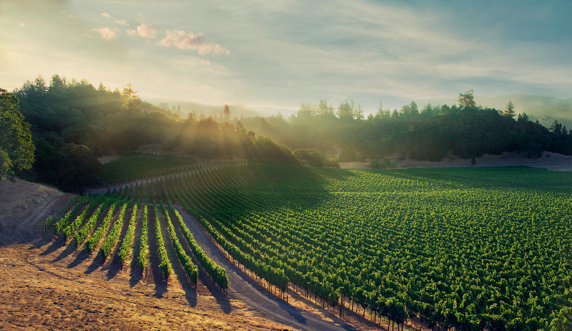 Memorable Tastings of 2022 | Andrew Harper