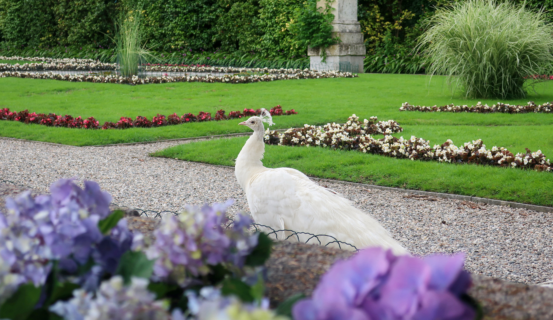 Favorite Editor Photos of the Year | Andrew Harper