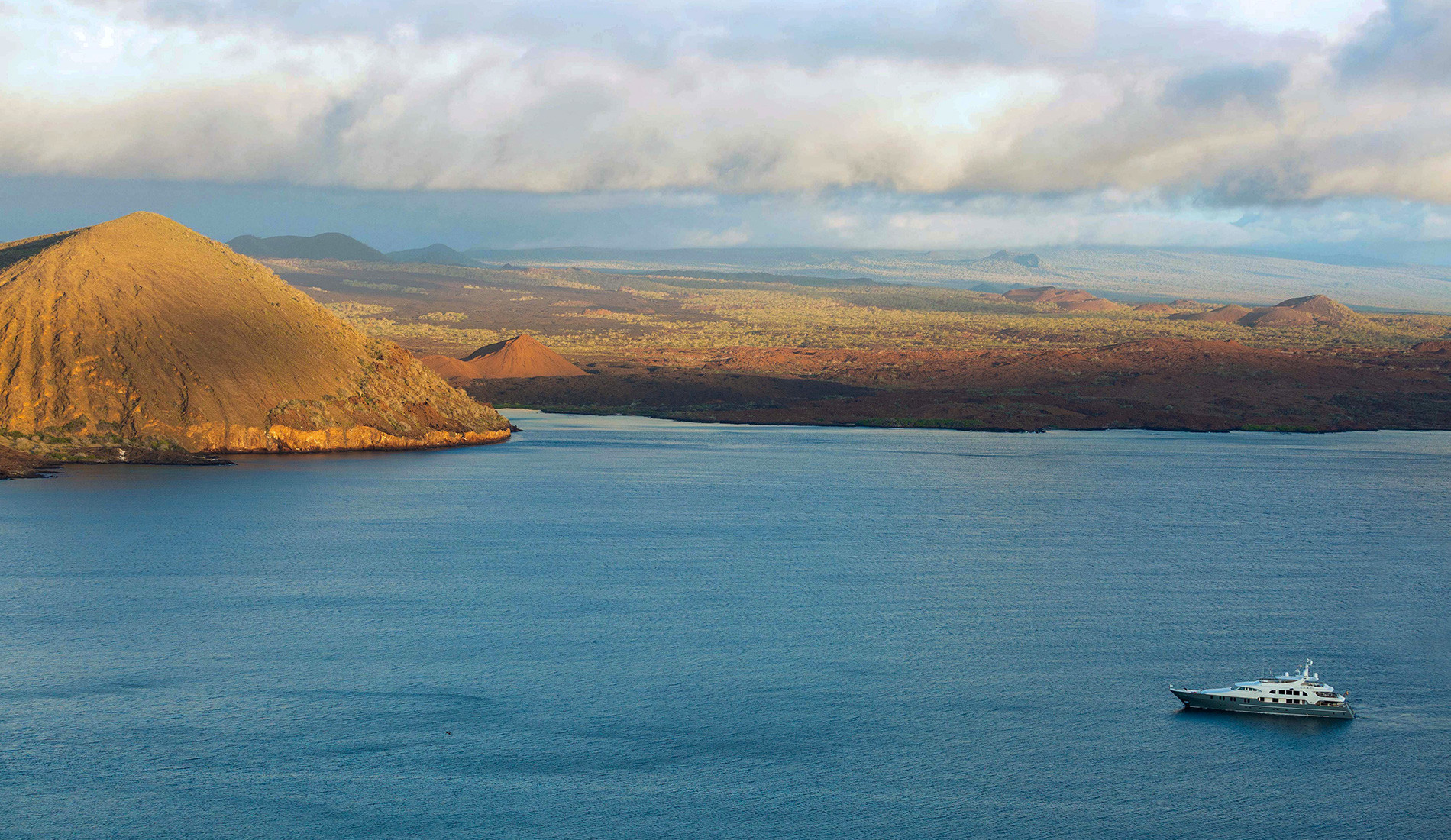 Best in Class | Andrew Harper