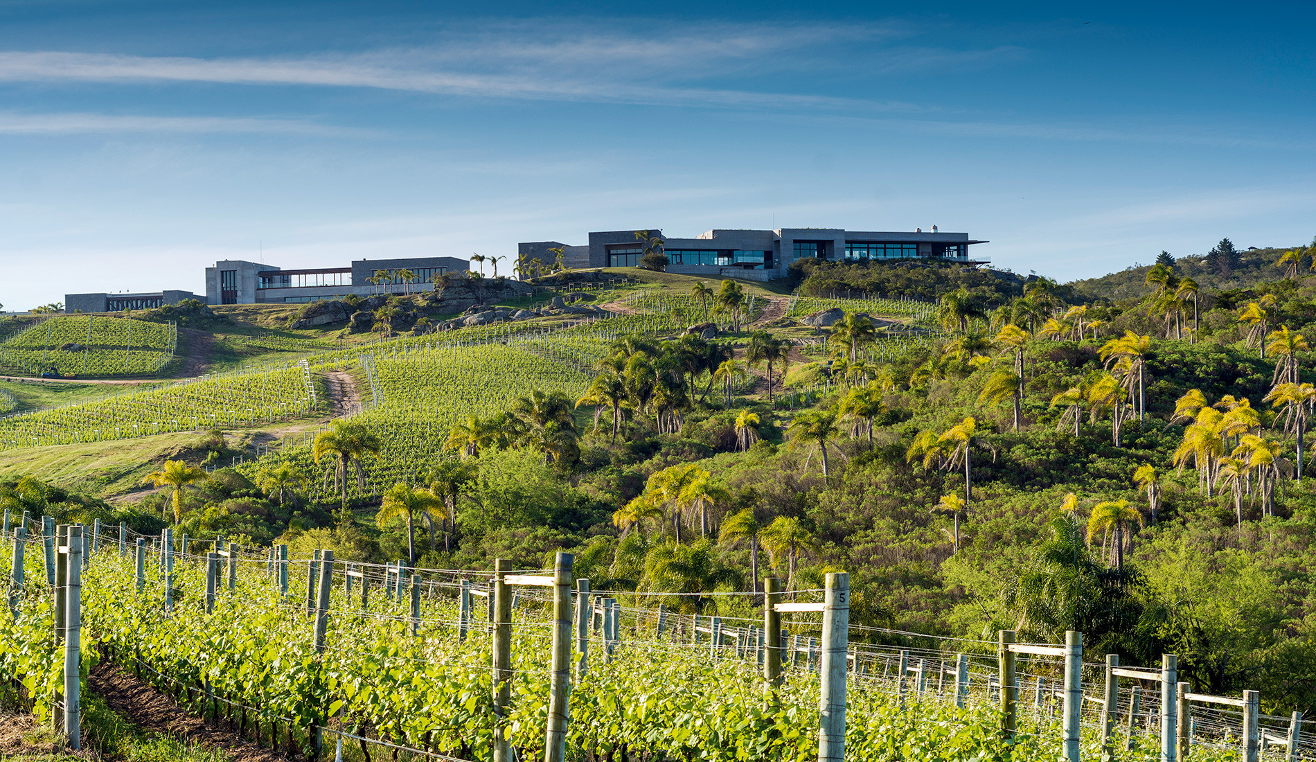 Most Memorable Tastings | Andrew Harper