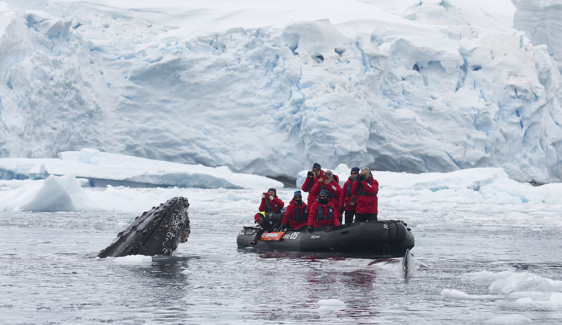 Member Photo Contest | Andrew Harper