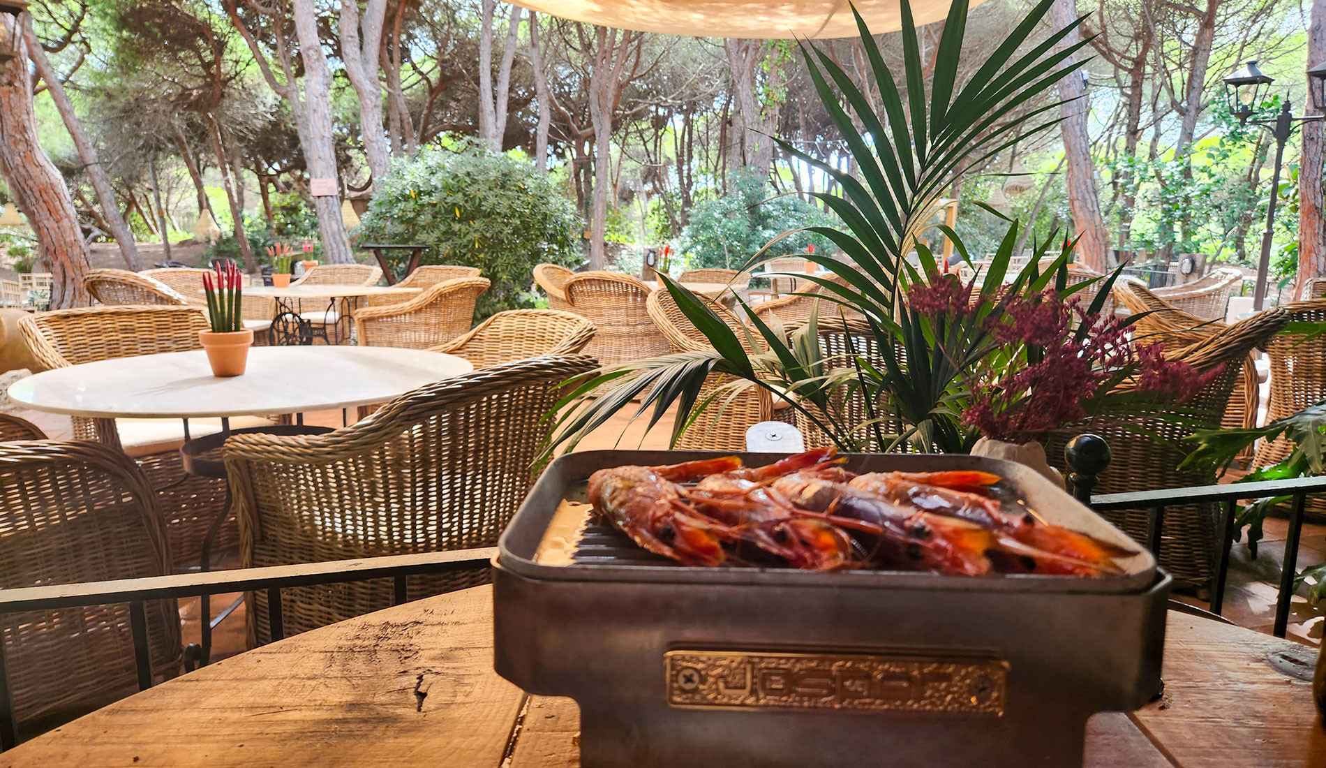 Top Restaurants in the Catalan Countryside | Spain | Andrew Harper