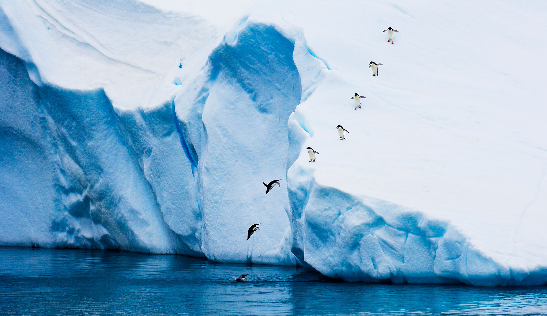 Top Travel Experiences | Andrew Harper