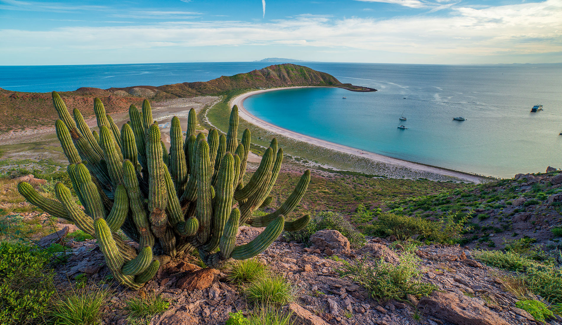 An Uncruise Expedition Off the Baja Coast | Cruise | Andrew Harper